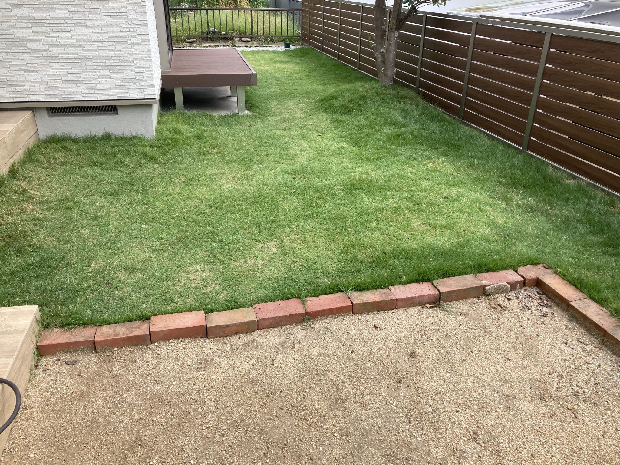 トヨタが開発した芝生（TM9）のカインズホームの販売価格や販売時期は？ | ももと平屋