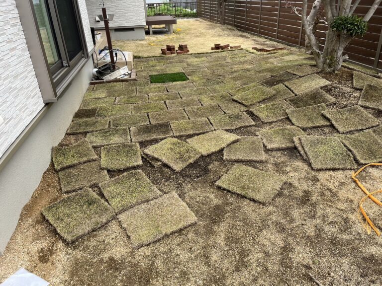 トヨタの芝生（TM9）2年目。追加で敷いた販売価格や作業の体験談 | ももと平屋