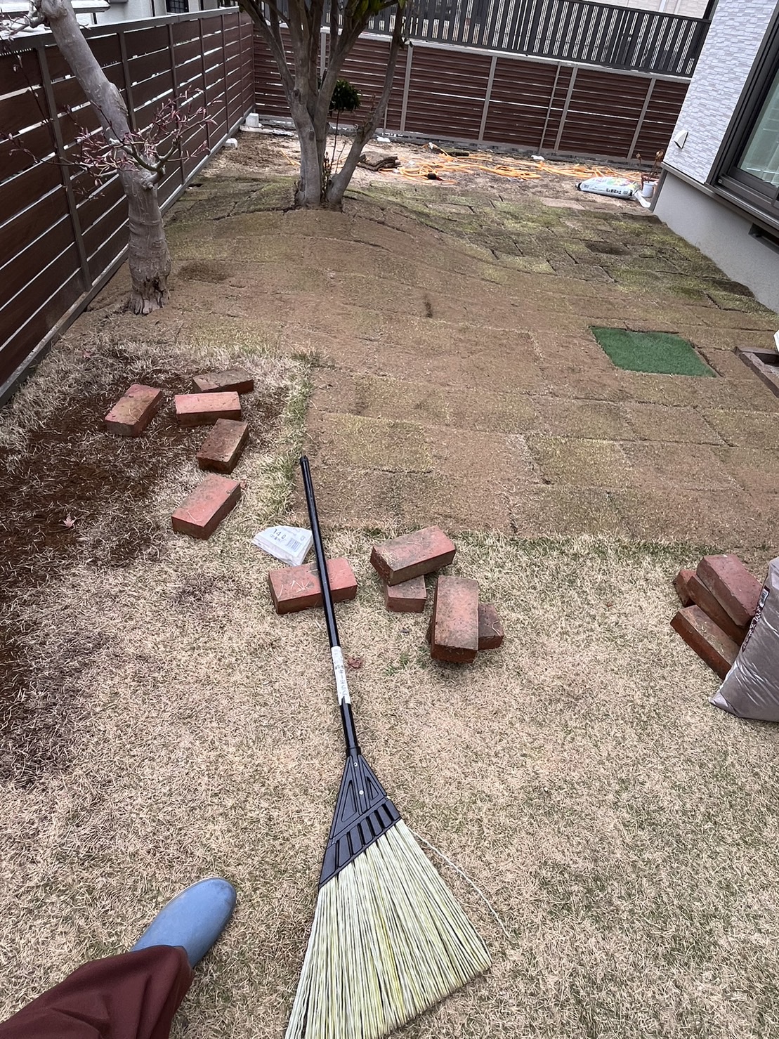 トヨタの芝生（TM9）2年目。追加で敷いた販売価格や作業の体験談 | ももと平屋