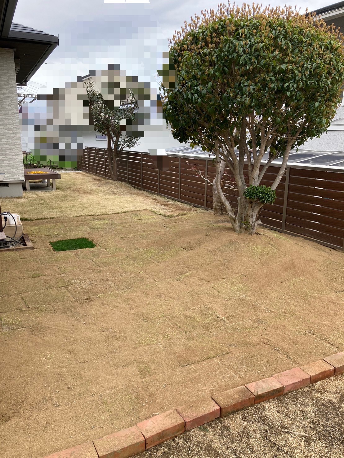 トヨタの芝生（TM9）2年目。追加で敷いた販売価格や作業の体験談 | ももと平屋