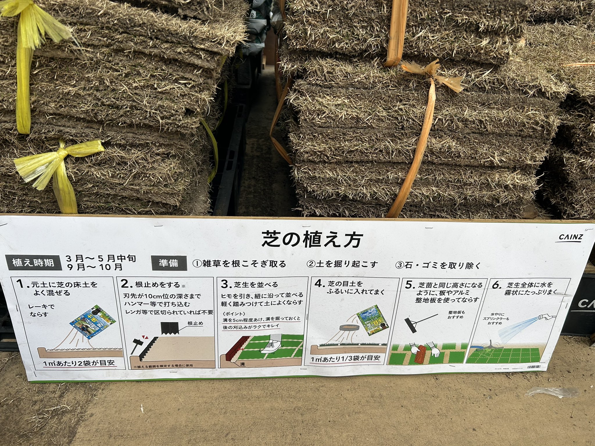 トヨタが開発した芝生（TM9）のカインズホームの販売価格や販売時期は？ | ももと平屋