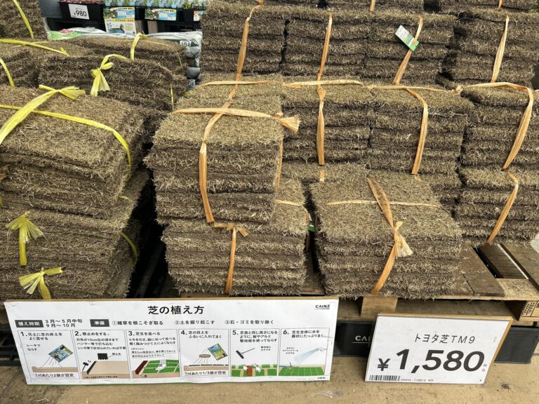 トヨタが開発した芝生（TM9）のカインズホームの販売価格や販売時期は？ | ももと平屋